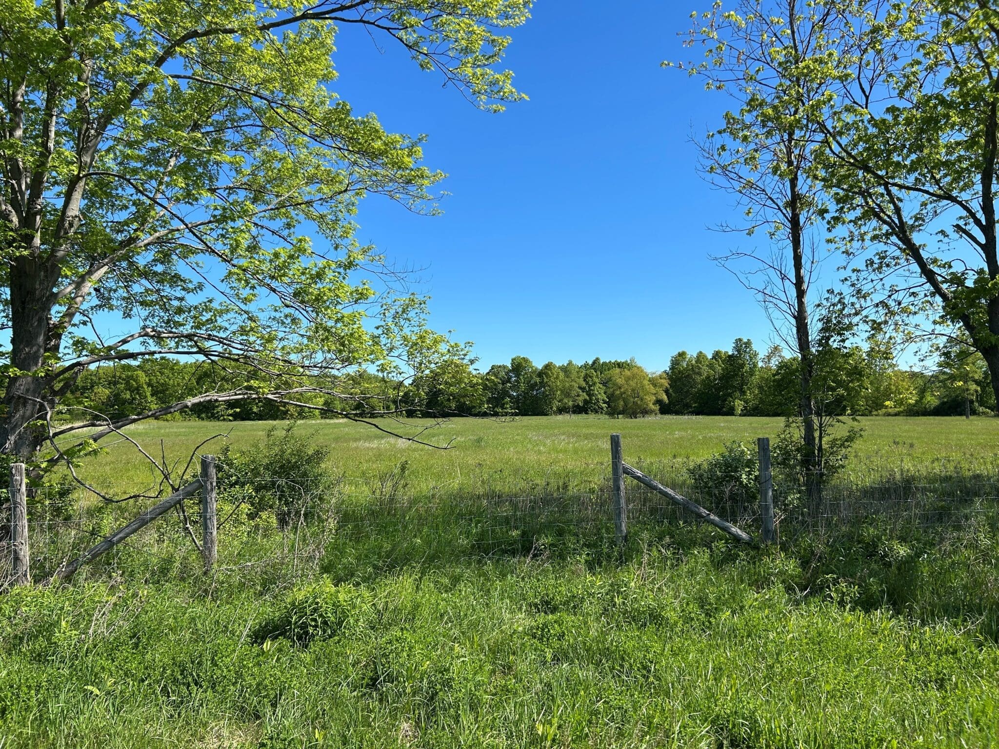 Building Lots for Sale in the Niagara Region - Homes By Hendriks